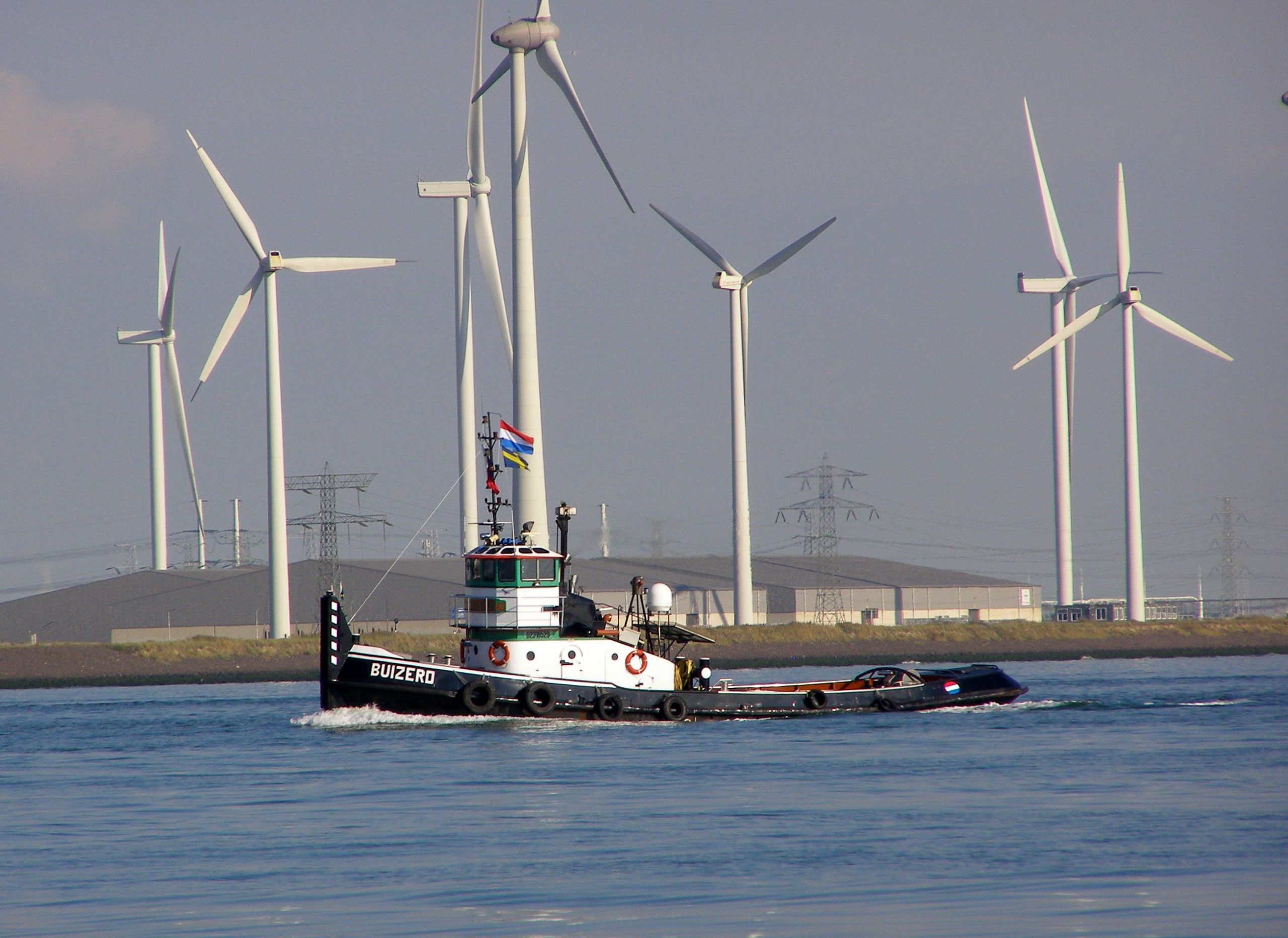 Buizerd, 14-09-2023 | Tugspotters.com